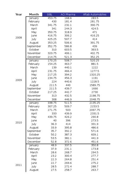 efficient portfolio construction pdf shoe business
