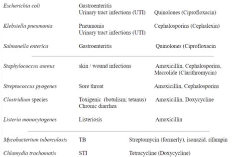 Mb1003 Antibiotic Classes Modes Of Action Flashcards Quizlet