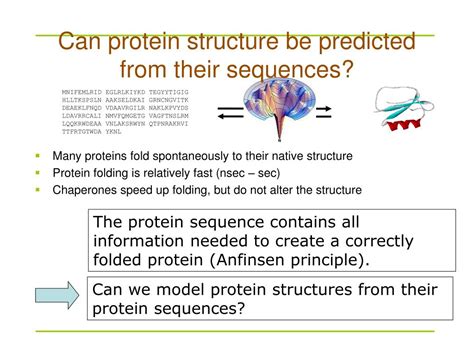 Ppt Basics Of Protein Bioinformatics And Structural Bioinformatics