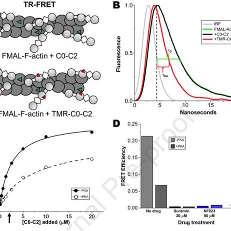 Isothermal Titration Calorimetry Itc Of Hit Compounds Binding To