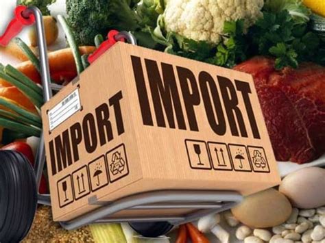 Foreign Supplier Verification Program Developed Food Supplement Upwork