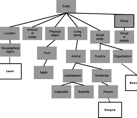 Deriving New Classes From A High Level Ontology Download Scientific Diagram