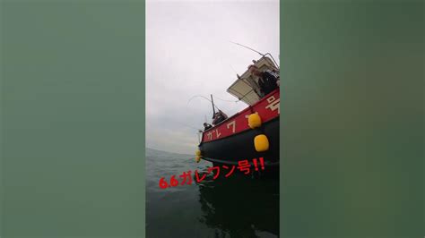 ガレージワン オフショア ガレワン号 伊勢湾の赤い人 船釣り 釣り Slj ジギング 伊勢湾 伊勢湾ジギング Youtube