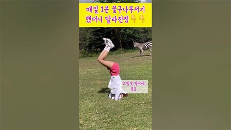 허리 코어운동 물구나무서기 효과⭐️ 허리통증 완화 허리강화 탈모 예방 물구나무서기 물구나무 시르사아사나 코어운동