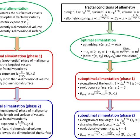 The Summary Of The Structure Of Calculation A The Biophysical