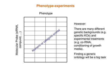 Ppt Phenotype Databases Comprehensive Resource For Rnai Screening