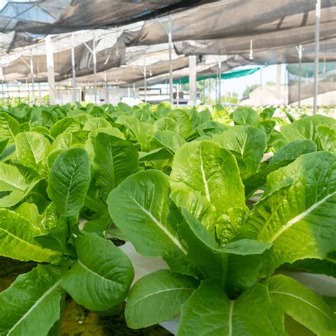 Controlled Environments Efao