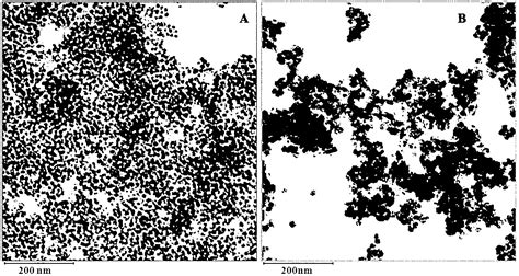 preparation method of cdte sio2 quantum dot surface monoamine neurotransmitter molecularly