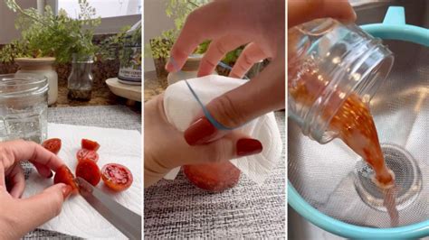 Urban Gardener Shares Easy Method To Save And Store Tomato Seeds For