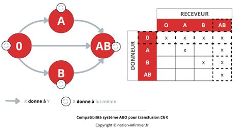 Fiche Ide Les Systèmes De Groupes Sanguins Notion Infirmier