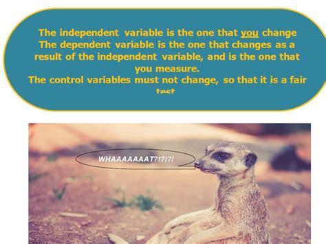 Scientific Methodology A Complete Course Teaching Resources