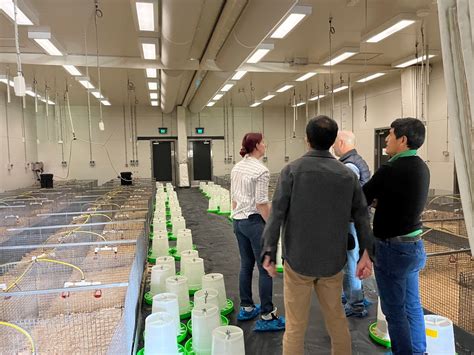 Pha Welcomes Uq Poultry Hub Australia