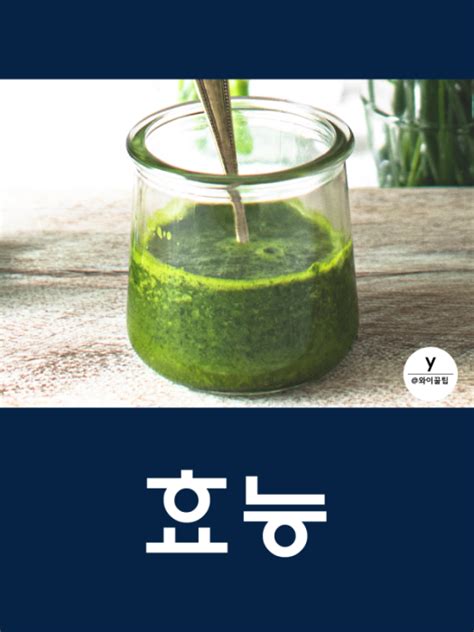 네이버 인플루언서