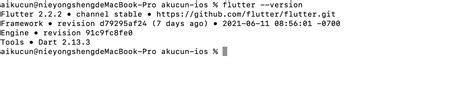 No Constructor Flutterboostapp With Matching Arguments Declared In