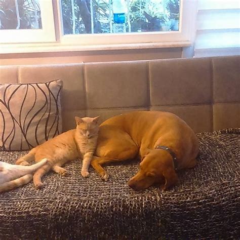 Sevda Aydan1930 70 Ler 80 Ler 90 Ların Tv Dizileri Facebook