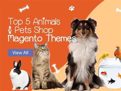 Magento 2 Themes Customizations Faqs Bzotech