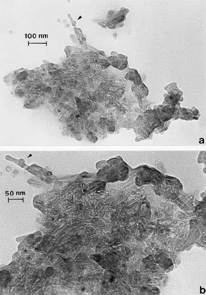 Typical TEM Images For Carbon Nanocrystal Aggregates Collected In The