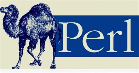 Perl Programming The Beginners Guide