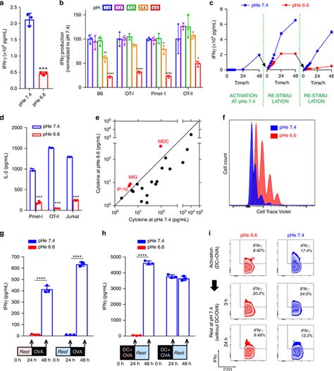 T Cell Effector Functions Are Inhibited At Acidic Ph A Interferon γ