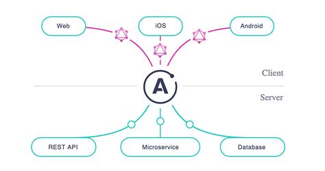 Apollo React Using Context And Client With Thunk