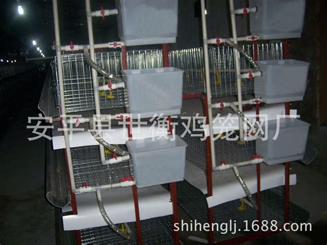 厂家做框架肉鸡笼 传送带 清粪带全自动鸡笼设备等全套养殖设备 阿里巴巴