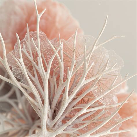 Interpretive Frameworks → Term