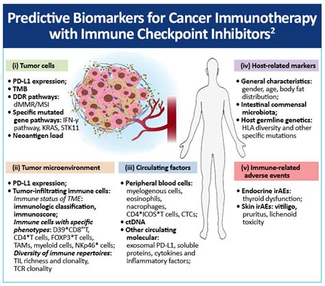 Targeting Nsclc Based On Appropriate Application Of Clinical Biomarkers