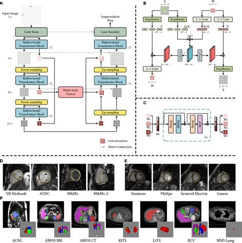 figure 1 from a data scalable transformer for medical image