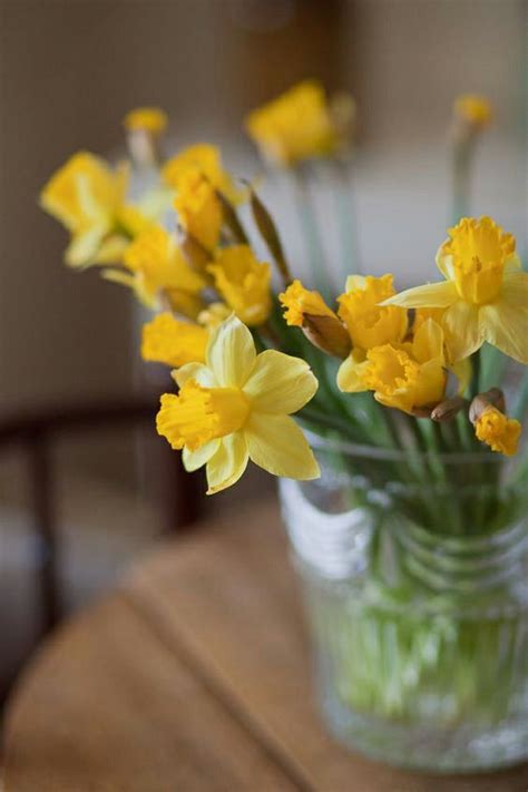 Pin By Нежность On цветы в вазах Daffodils Spring Flowers Beautiful