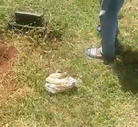 Geger Warga Temukan Mayat Bayi Tanpa Kaki Di Kuburan Respublika Id