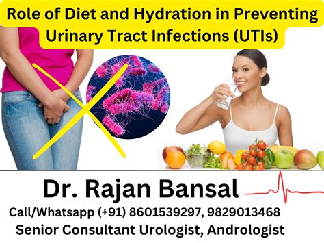 Urinary Bladder Stones Diagnosis And Treatment Institute Of Urology