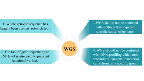 Whole Genome Sequence Pptx