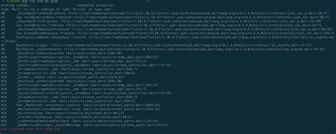 Unhandled Exception Type Null Is Not A Subtype Of Type String In