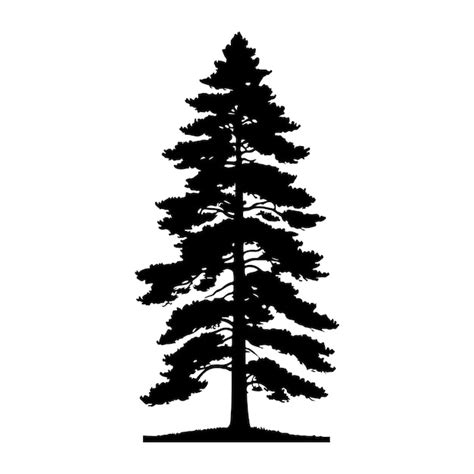 Pine Tree Silhouette Outline Images Free Download On Freepik