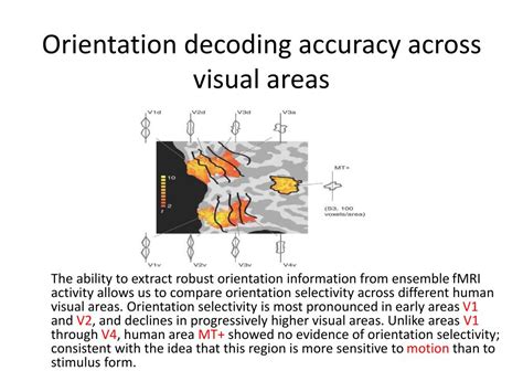 Ppt Presented By Arash Ashari Powerpoint Presentation Free Download Id4121526