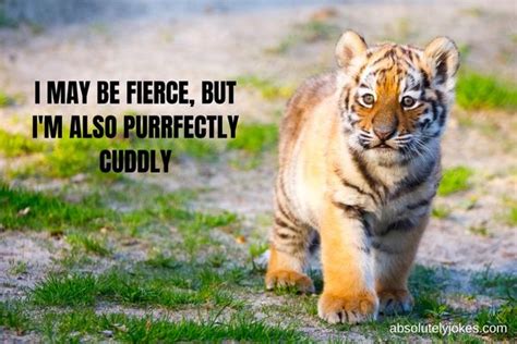 Tiger Puns Absolutely Jokes And Puns
