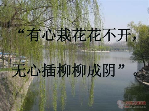 苏科版 植物的生殖与发育word文档在线阅读与下载无忧文档