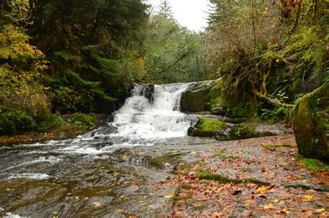 Underrated Fall Foliage Hikes In Oregon Hike Oregon