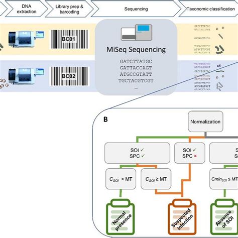 Complete Workflow For Clinical Metagenomic Analysis Of Bal Samples A