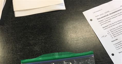 SEED GERMINATION LAB