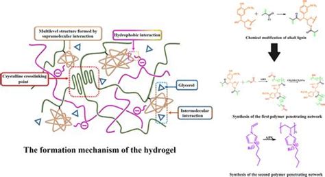 具有抗膨胀、抗冻和抗蠕变特性的新型木质素水凝胶传感器acs Sustainable Chemistry And Engineering X Mol