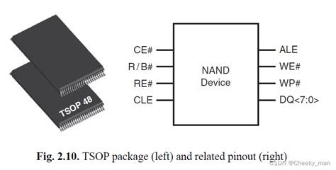 学习笔记Inside NAND Flash Memories 第二章 CSDN博客