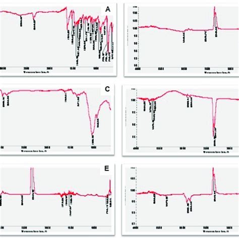The Ftir Spectrum Of Gabapentin Download Scientific Diagram