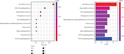 A The Venn Diagram Of The Target Gene Predicted By 2 Mirnas With The