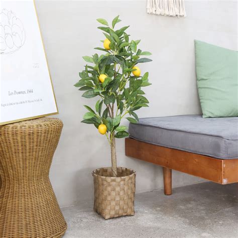조화나무 레몬나무 화분세트 고퀄리티 인조나무 감도 깊은 취향 셀렉트샵 29cm