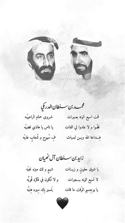 الشيخ زايد بن سلطان