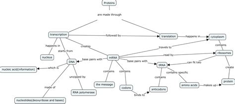 Protein Synthesis Concept Map
