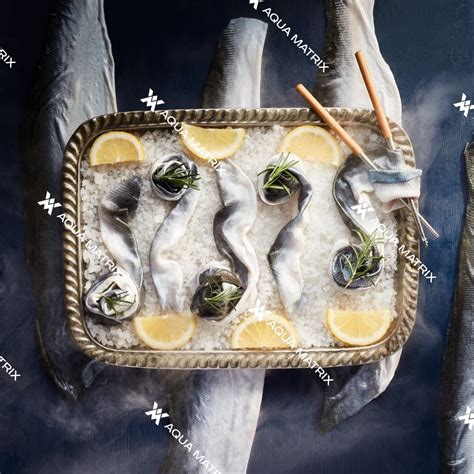 Aqua Matrix Frozen Pangasius Skin