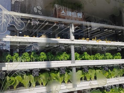 수경재배 친환경농업 아니다”