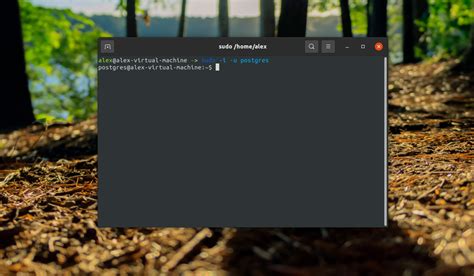 Инструкция по установке Postgresql на Ubuntu Все инструкции и